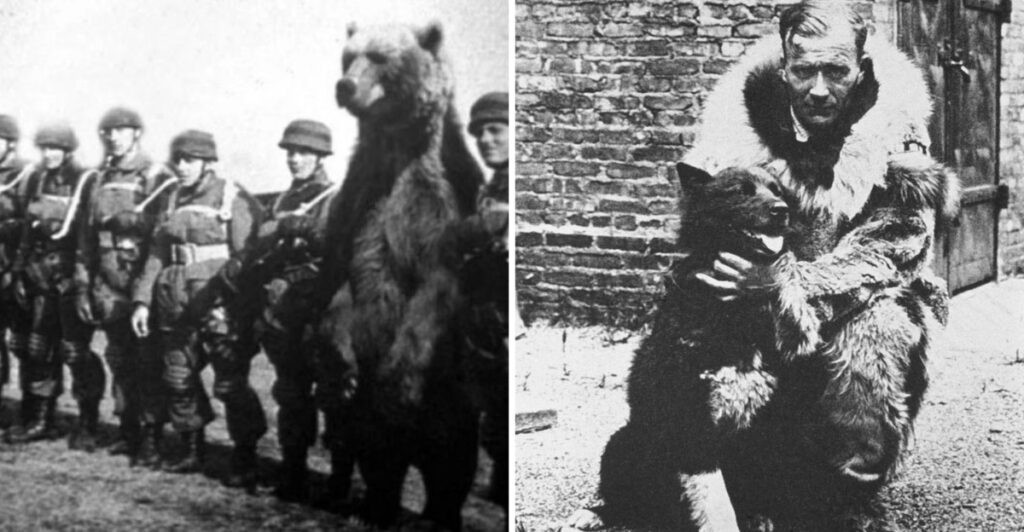15 Animals That Changed the Course of History – Animal facts daily